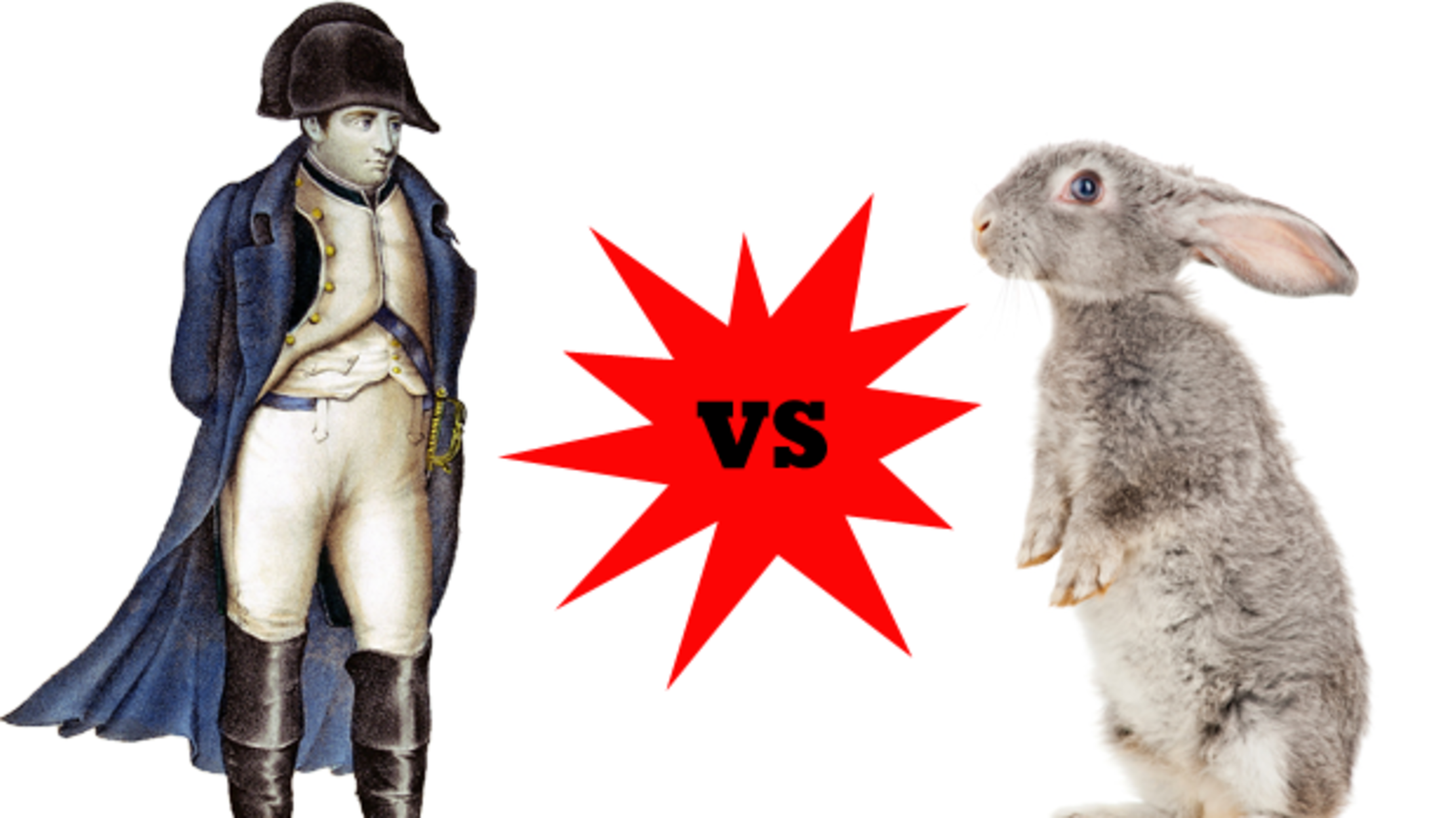 Napoleon’s ‘Battle’ with Bunnies, 1807 – History and Things